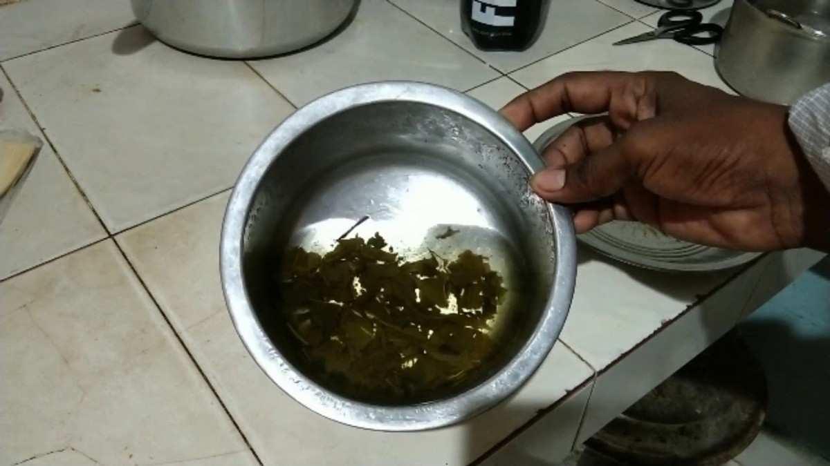 Green Tea Bitter? 7 Easy Tips to Fix the Taste Instantly - Puregreentea ...